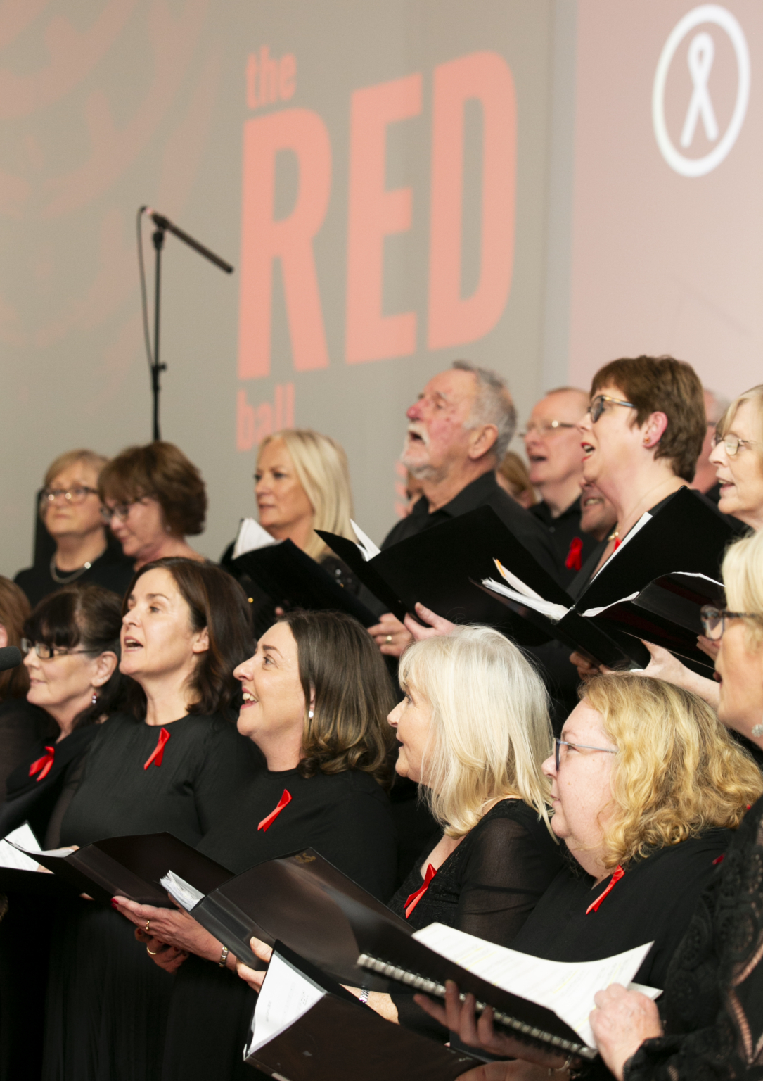 Red Ball 2023 – HIV Ireland